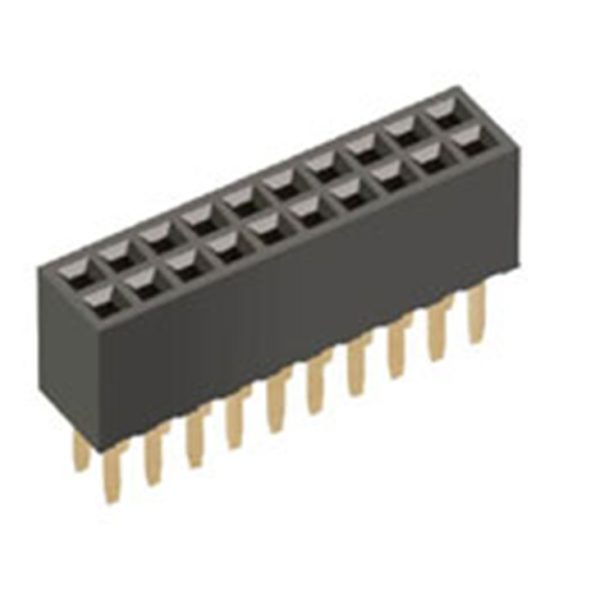 1.0mm Pitch Pin Female Header Double Row (Straight) P9443 | Protectron